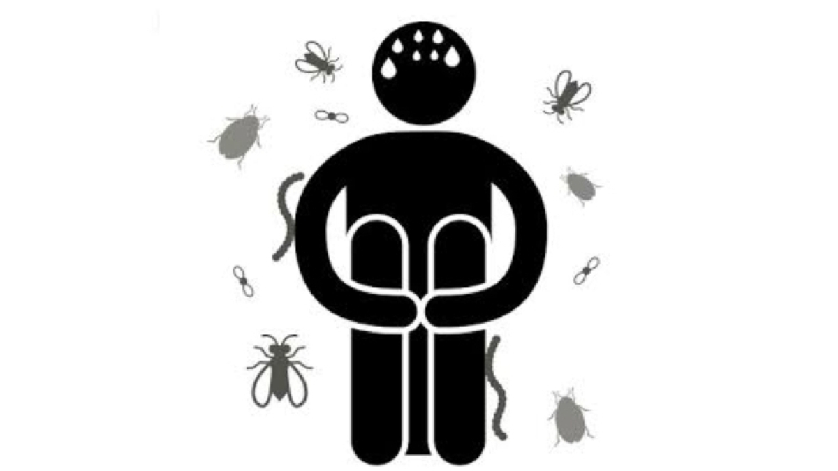 Böceklerden neden korkuyoruz, Entomofobi nedir? - Evrim Ağacı