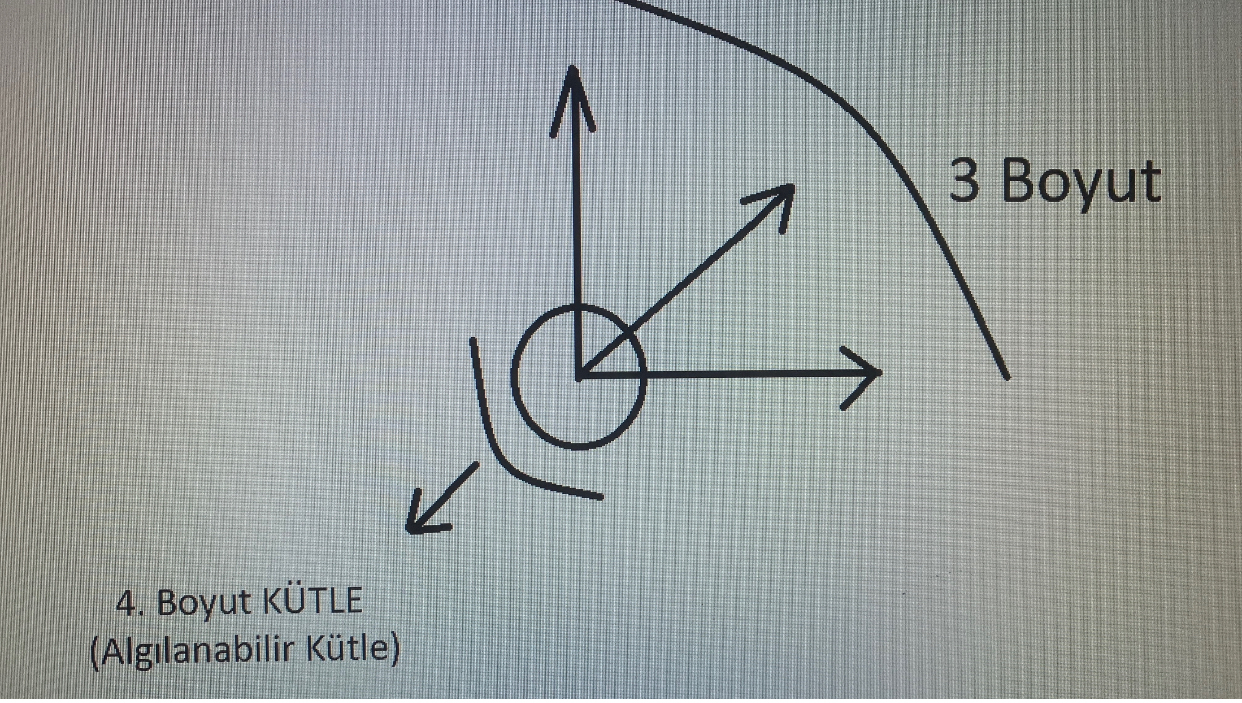 4. Boyut hakkında kurduğum düşünceler - Evrim Ağacı
