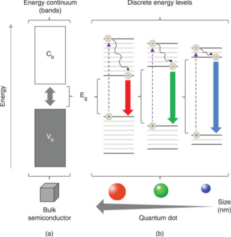 Kuantum Noktaları Nedir? Hangi Amaçla Kullanılır? - Evrim Ağacı
