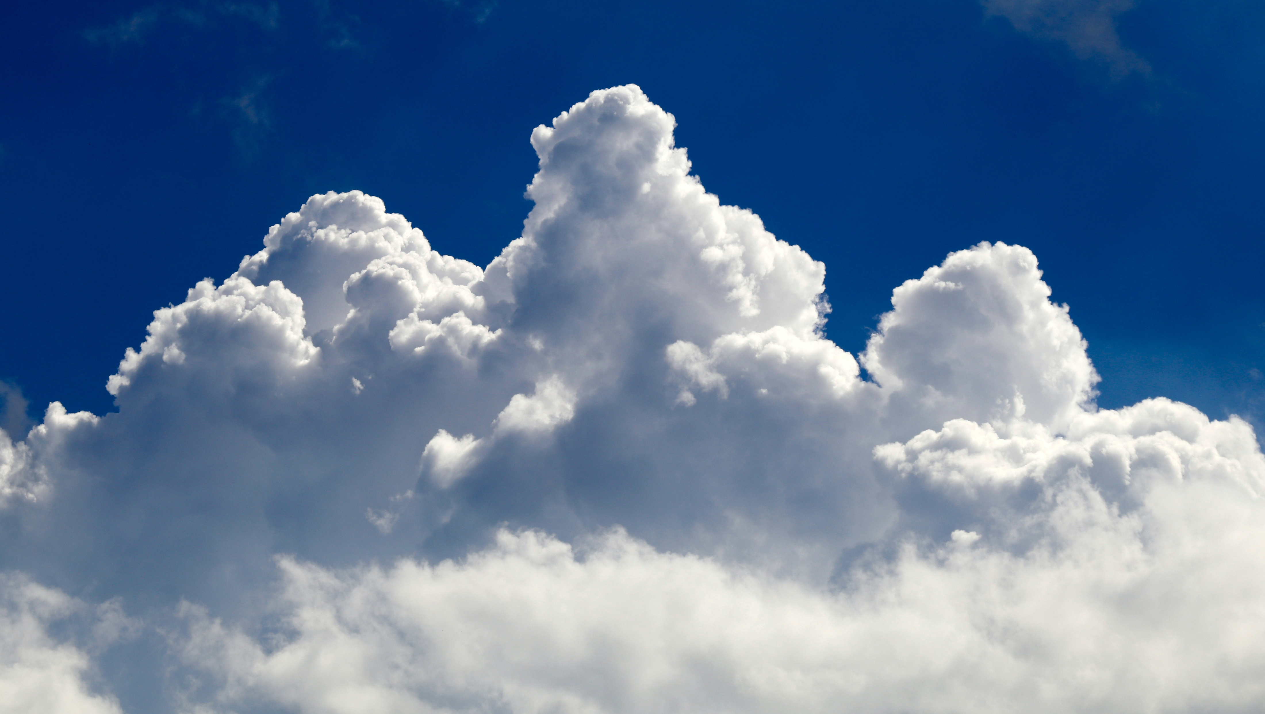 BULUTLAR VE TÜRLERİ - Evrim Ağacı