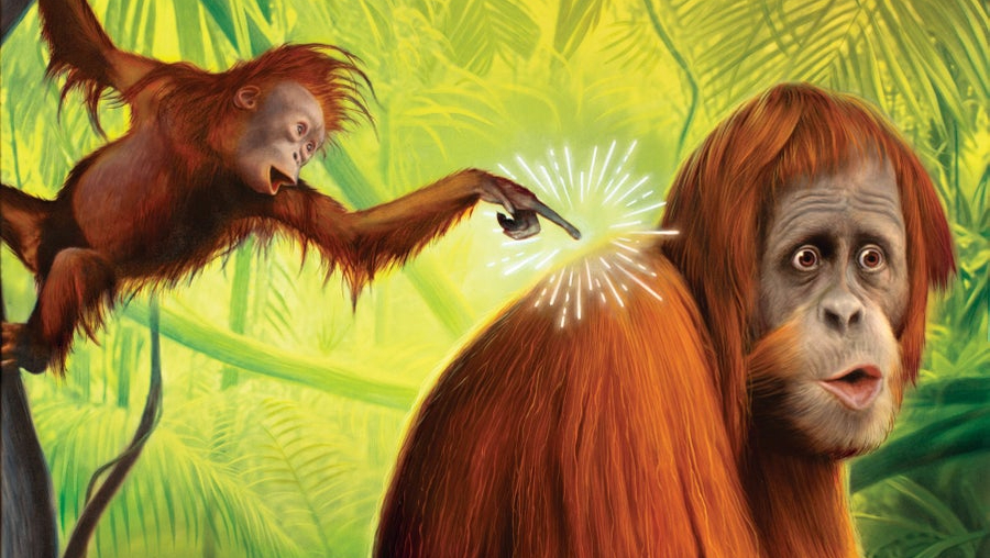 Büyük İnsansı Maymunlar da Şakalaşıyor: Mizah, İnsanlardan Daha Eski ...