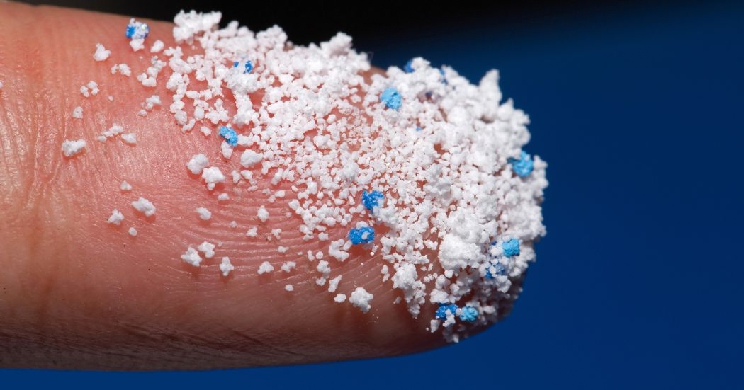 The Potential Impacts of Micro-and-Nano Plastics on Various Organ ...