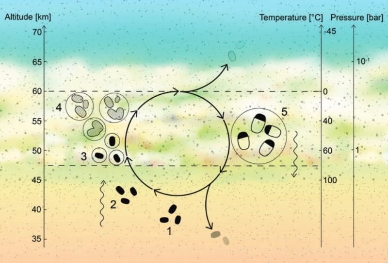 Venüs'te Olası Yaşam İzi: Venüs Atmosferinde Biyolojik Kökenli Fosfin ...