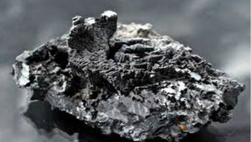 Antimon - Evrim Ağacı