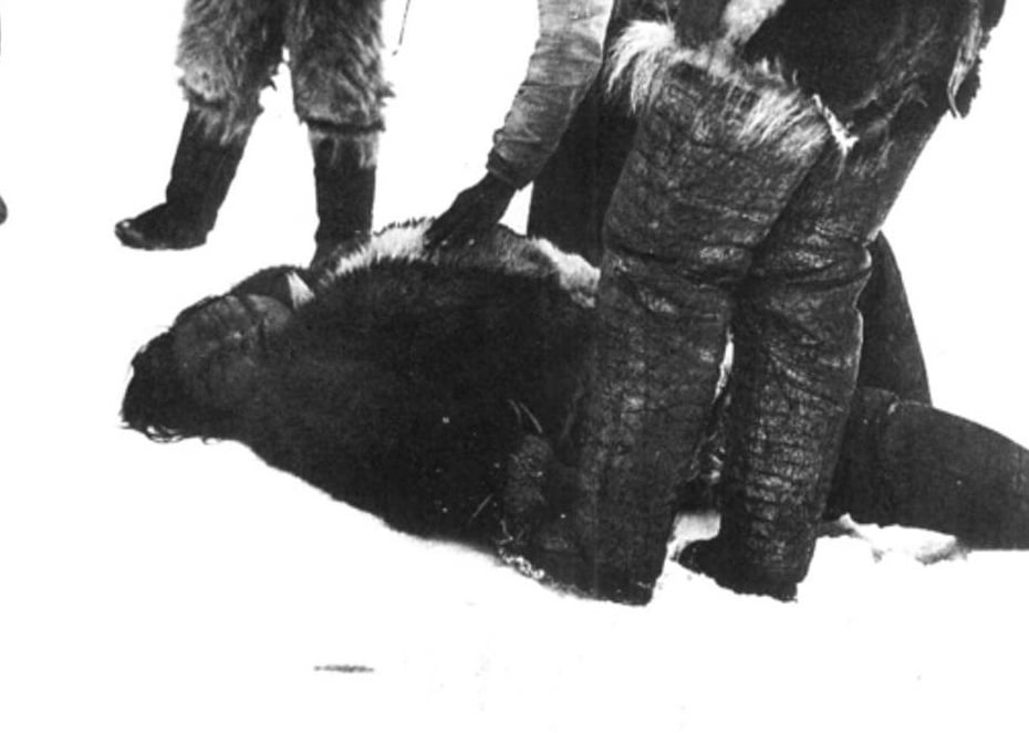 Histeri Nedir? Artık Geçersiz Bir Hastalık Olan Histerinin Kadın Rahmi ...