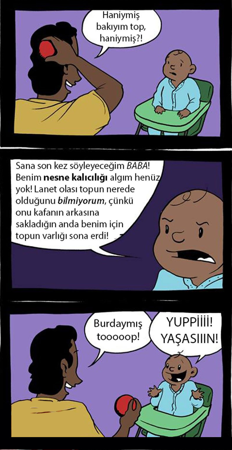 Nesne Kalıcılığı Nedir? Bebekler Neden Nesne Kalıcılığı Nedir? Bebekler Neden