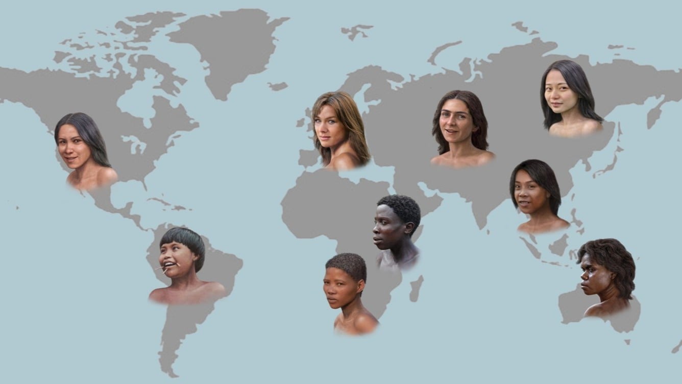 Deri Renginin Evrimi ve D Vitamini - Folat Hipotezi: İnsanların Deri ...