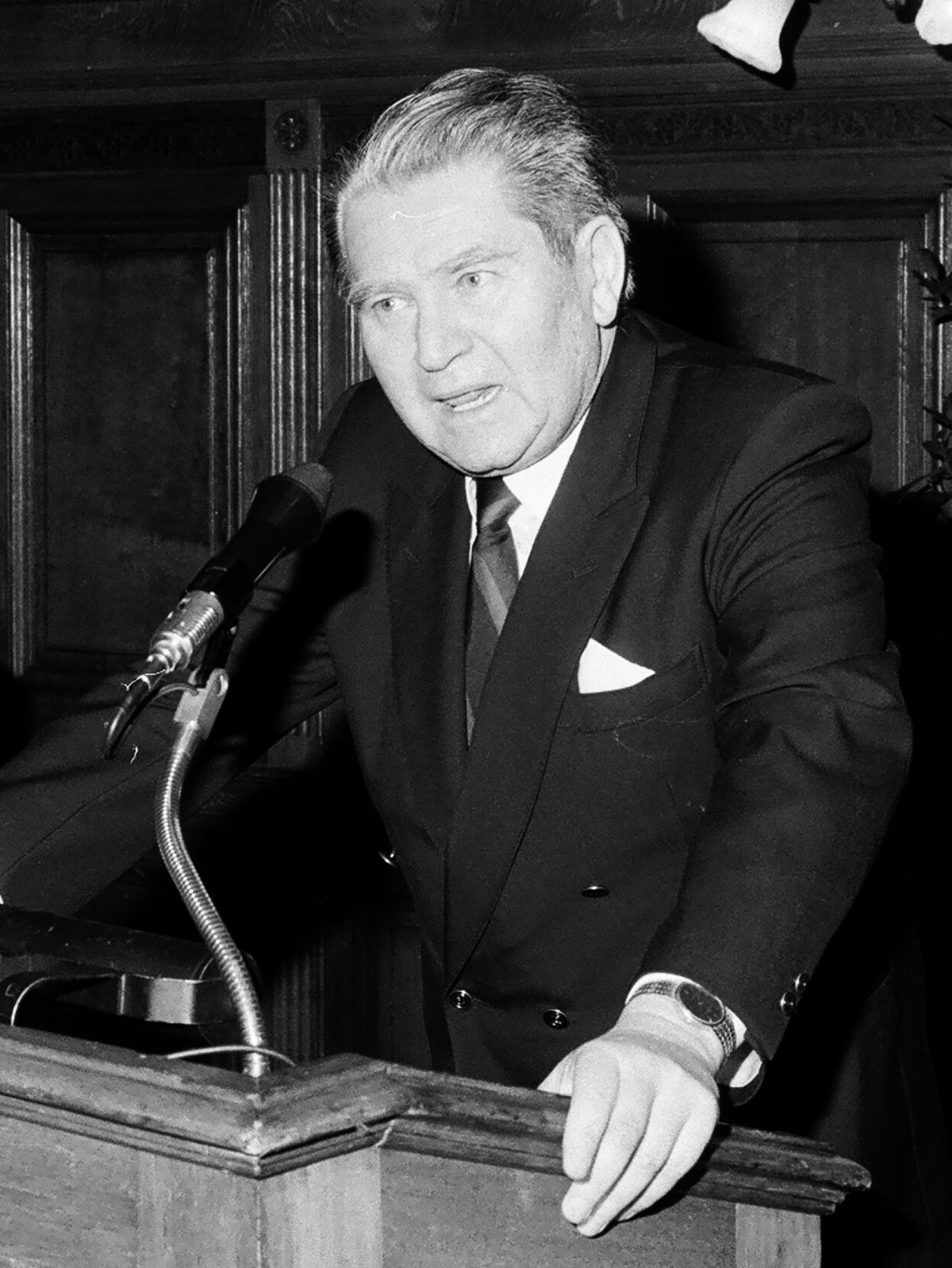 Rett Sendromu - Evrim Ağacı