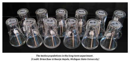 Evrimsel Biyoloji Uzmanı Richard Lenski ile Söyleşi - Evrim Ağacı