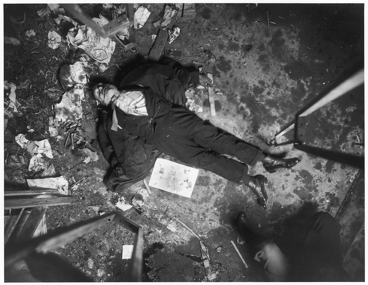 Science of Solving Murder: Evidence that Leads to the Culprit - Evrim Ağacı