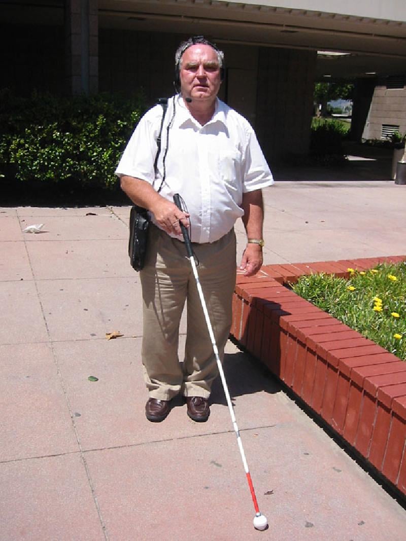 Coğrafya Nedir? Coğrafyanın Bilimdeki Yeri Nedir? - Evrim Ağacı