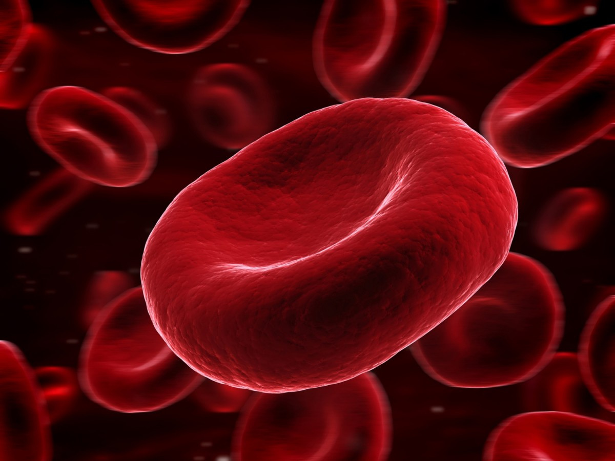 What Is the Color of Human Blood? Is It True That Blood Is Blue ...