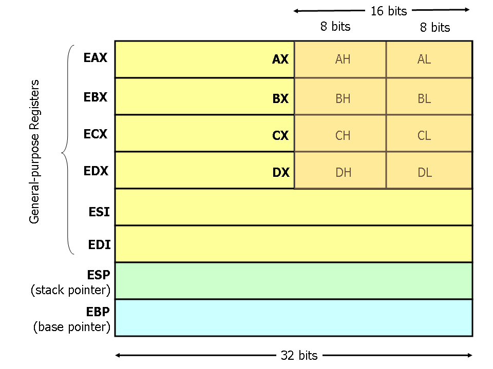 Assembly Registers - Evrim Ağacı