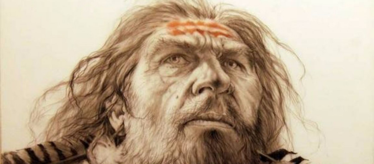 Modern İnsanlara Alet Yapmayı Neandertaller Mi Öğretti? - Evrim Ağacı