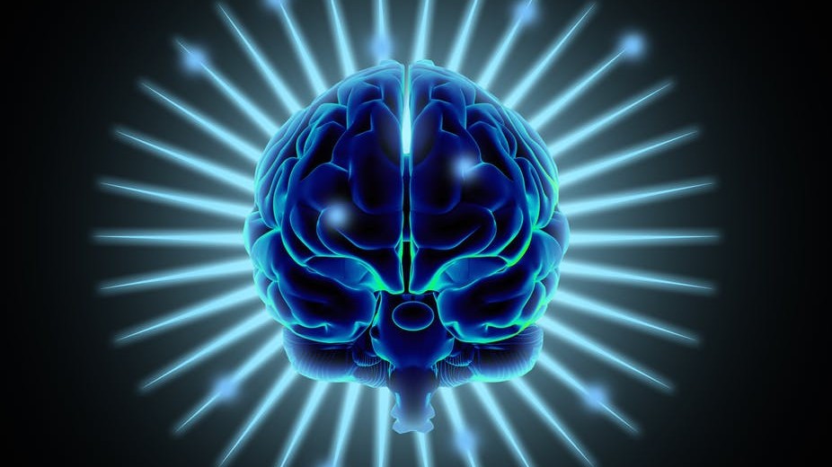 Beyindeki Gri Madde Miktarı, Etik Muhakeme Seviyesi ile İlişkili ...