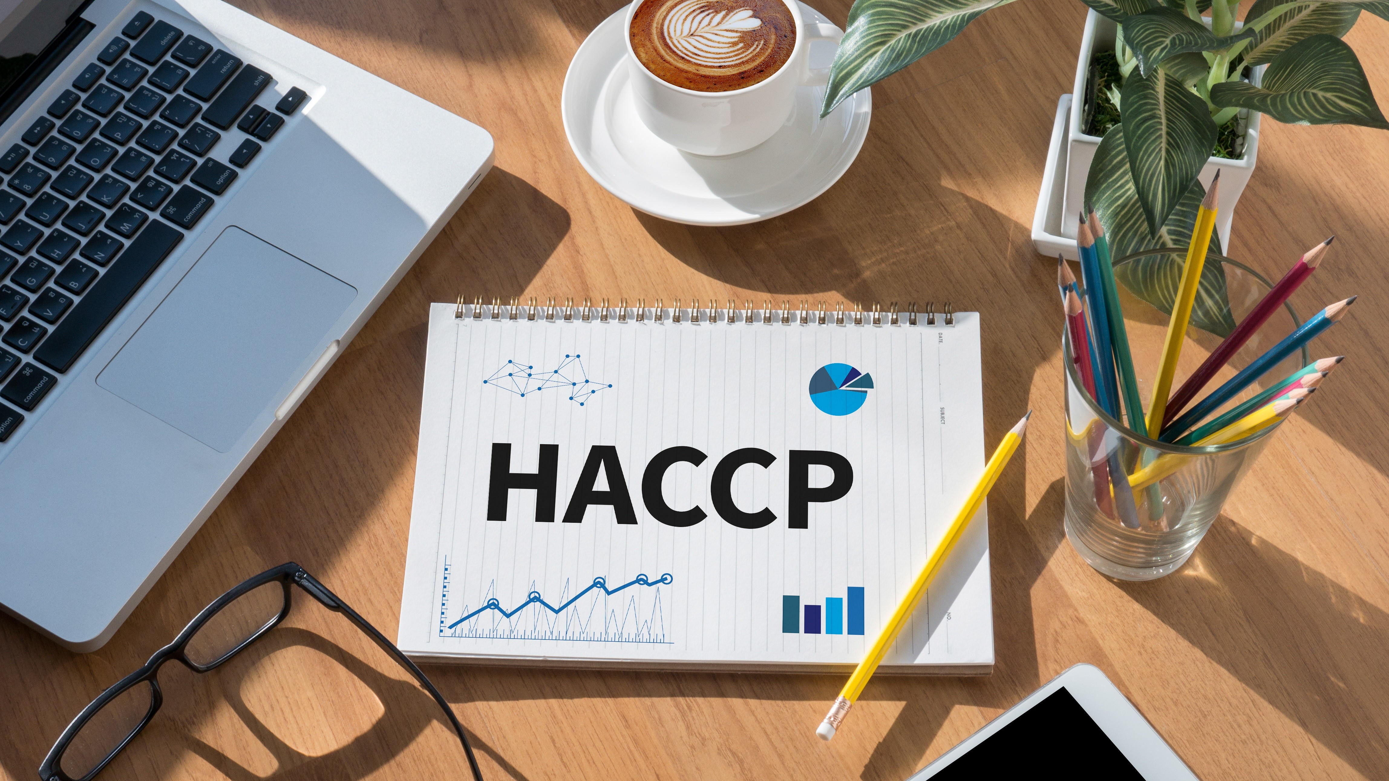 Gıda Güvenliğinde HACCP Sistemi Nedir ve Nasıl Uygulanır? - Evrim Ağacı
