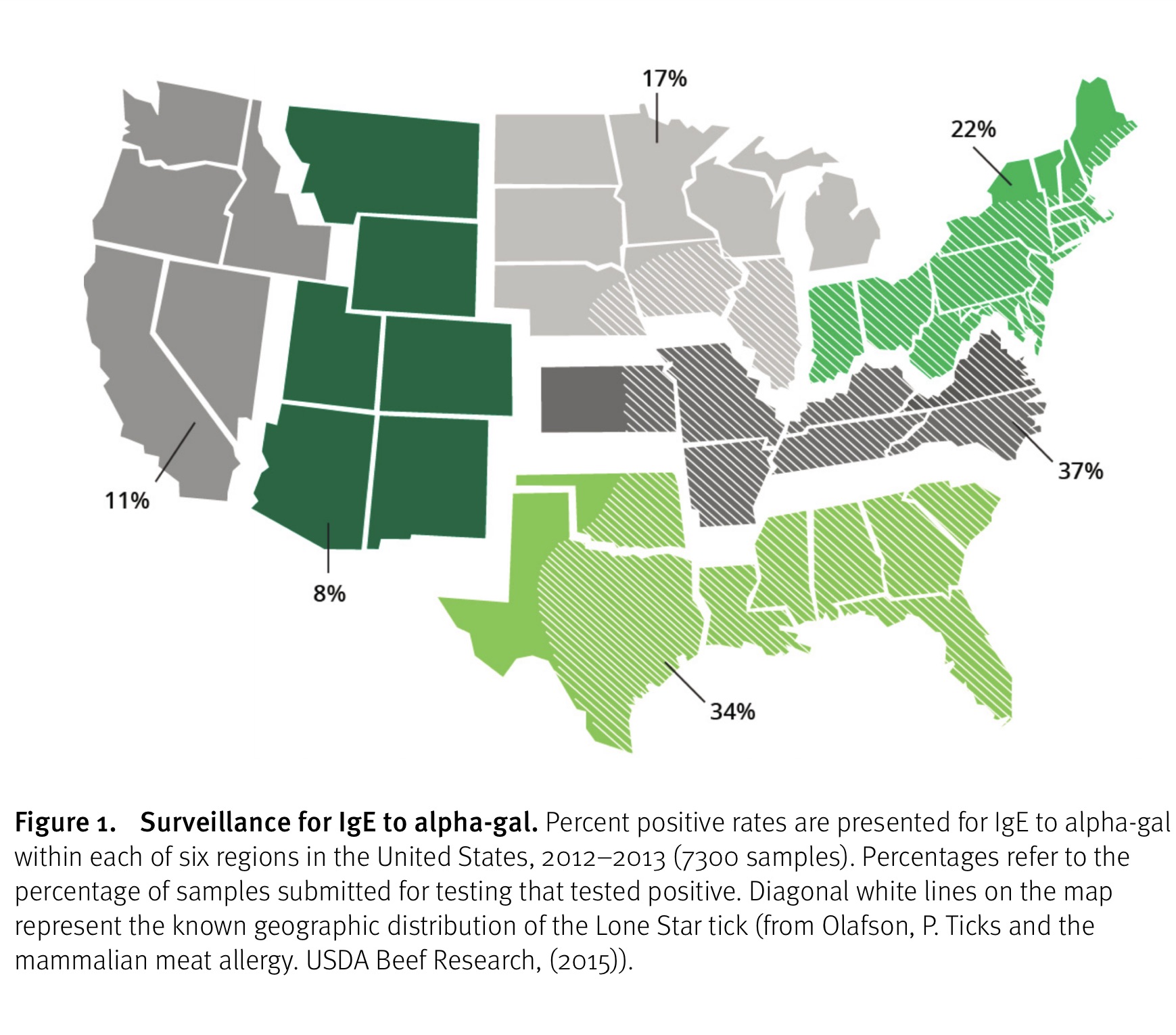 Alfa-gal Sendromu Nedir? Bir Kene, Nasıl Olur da İnsanlarda Kırmızı Et ...