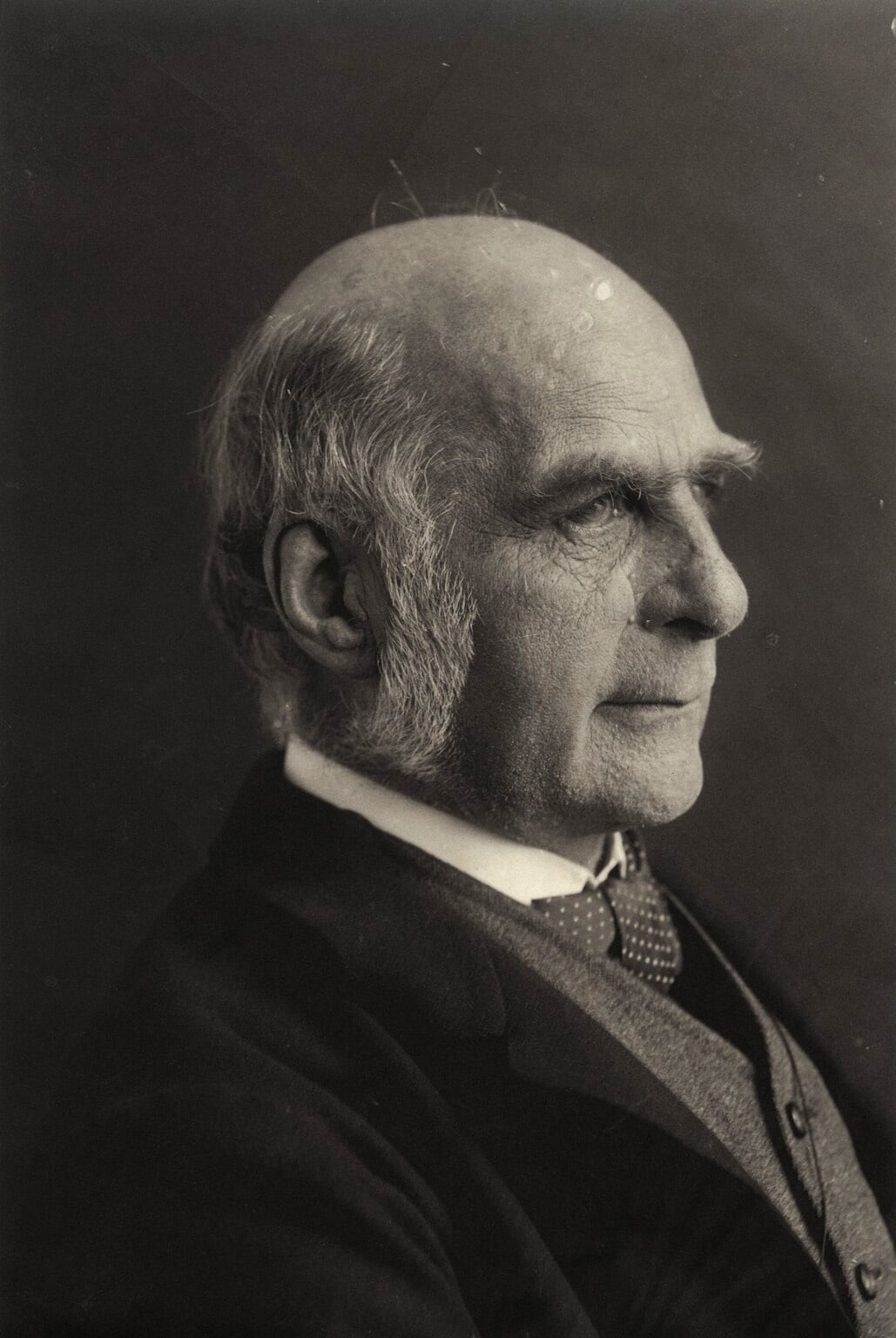 Sir Francis Galton Kimdir? Sayısız Bilim Dalının Babası, Aynı Zamanda ...