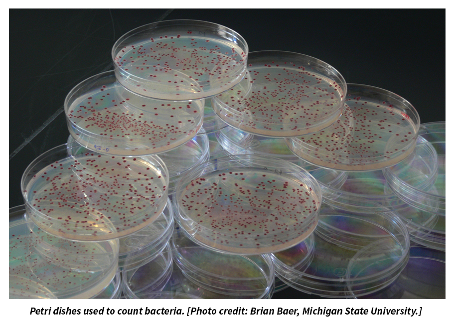 Evrimsel Biyoloji Uzmanı Richard Lenski ile Söyleşi - Evrim Ağacı