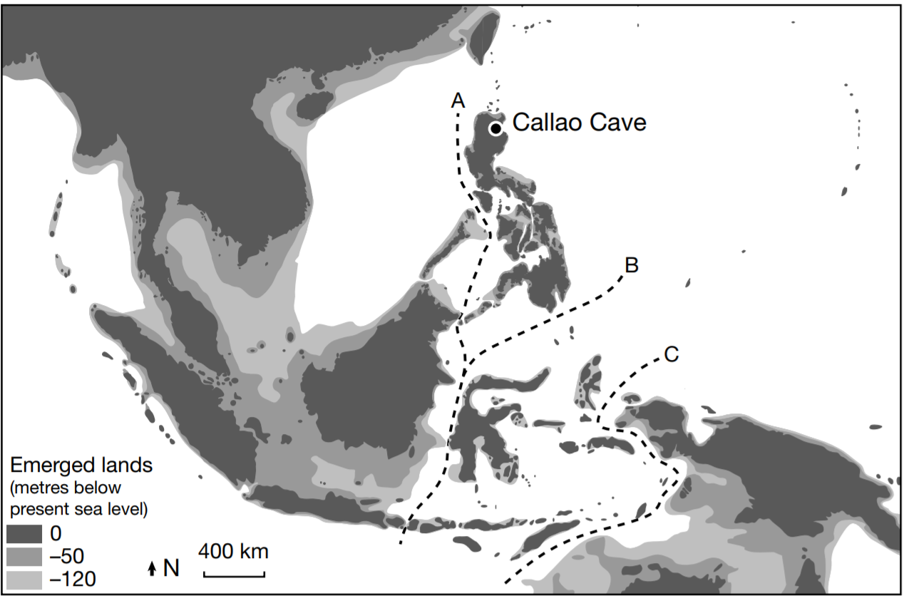 Homo luzonensis: Filipinler'de Keşfedilen Yeni İnsan Türü! - Evrim Ağacı