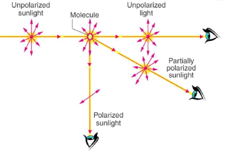 Polarizasyon Nedir? Işık Kaç Farklı Şekilde Polarize Olabilir? - Evrim ...