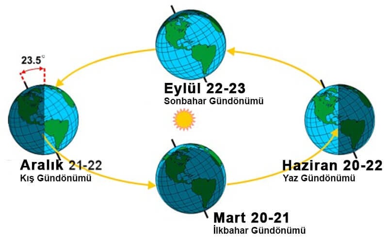 Dünya'nın Hareketleri - Evrim Ağacı