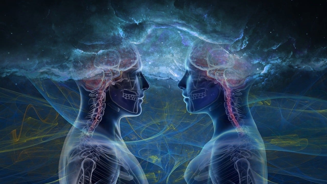 Sibernetik Nedir ve Nasıl Çalışır? - Evrim Ağacı