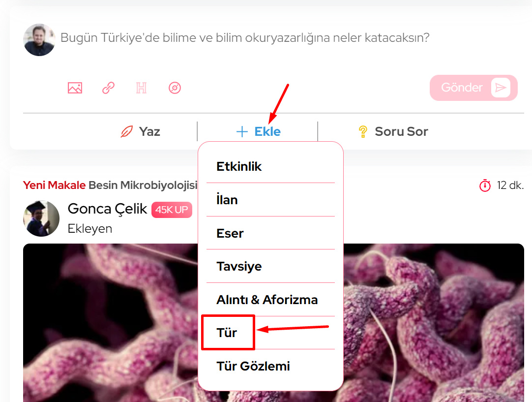 Yaşam Ağacı Projesi Nedir? Bu Projeye Nasıl Katkı Sağlarım? - Evrim Ağacı