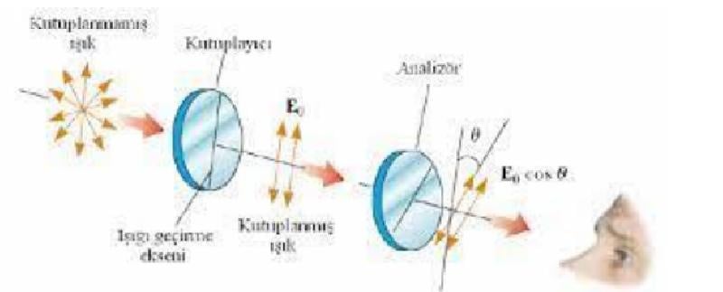 Polarizasyon Nedir? Işık Kaç Farklı Şekilde Polarize Olabilir? - Evrim ...