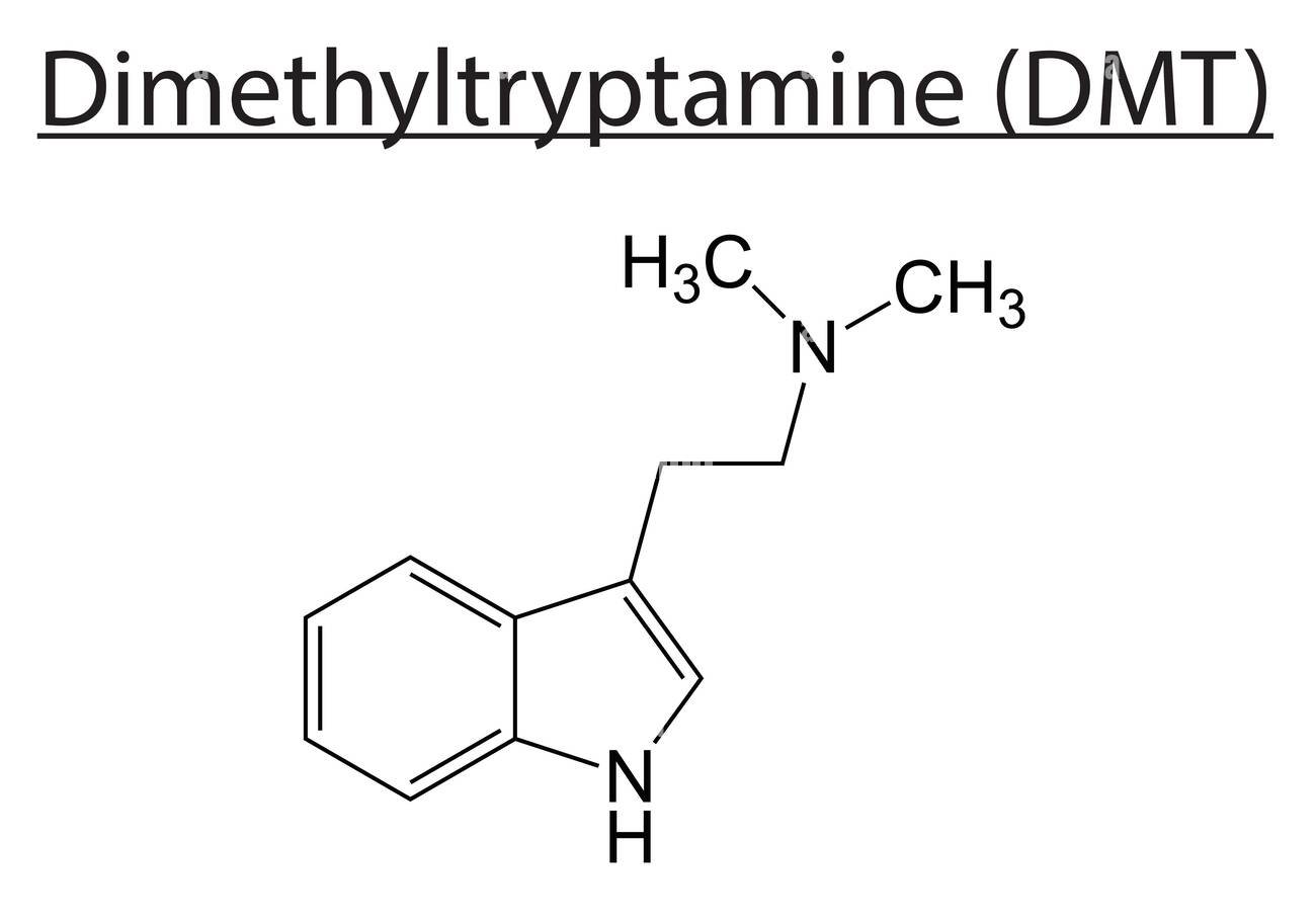 DMT (Dimetiltriptamin) vücudumuzda neden sentezlenir? | Soru & Cevap - Evrim Ağacı